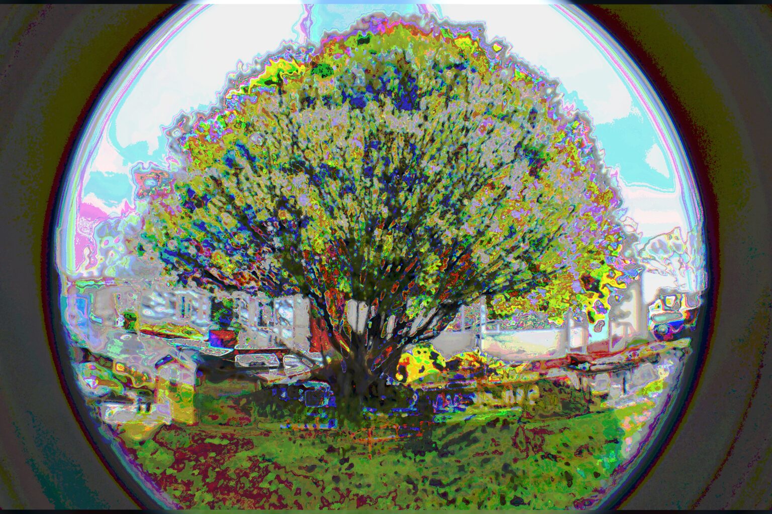 Elijah Watson – Processed Tree – Otautahi Creative Spaces